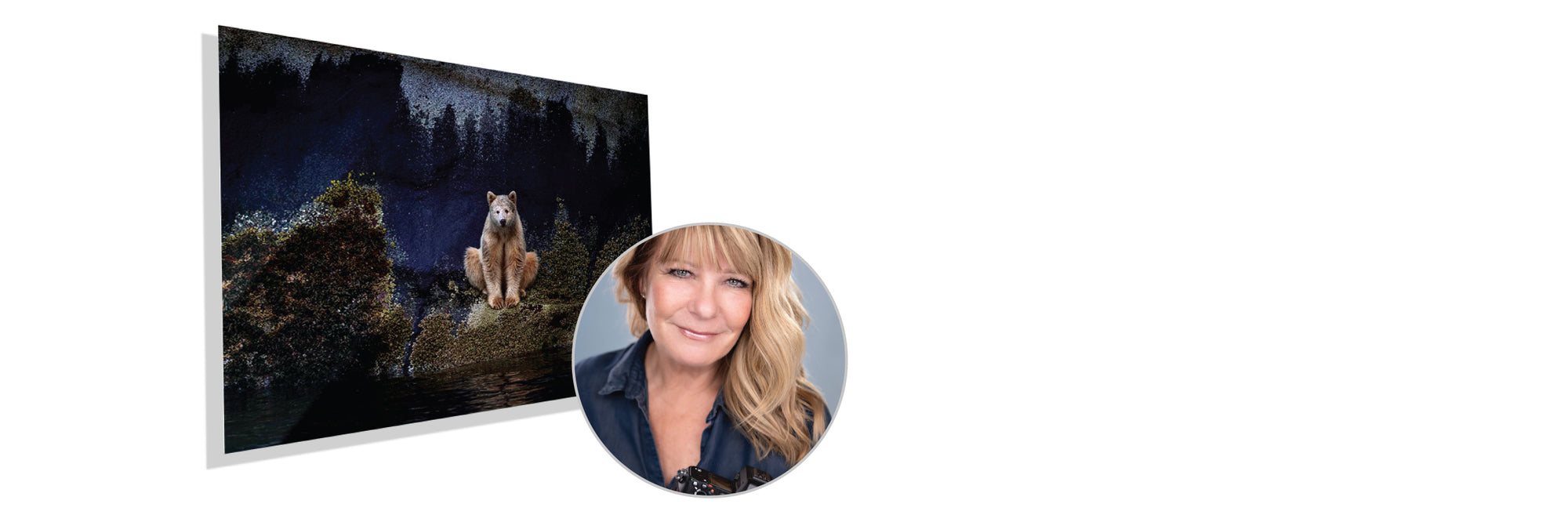 Michelle Valberg Collection | HD Metal Prints | WallSizzle